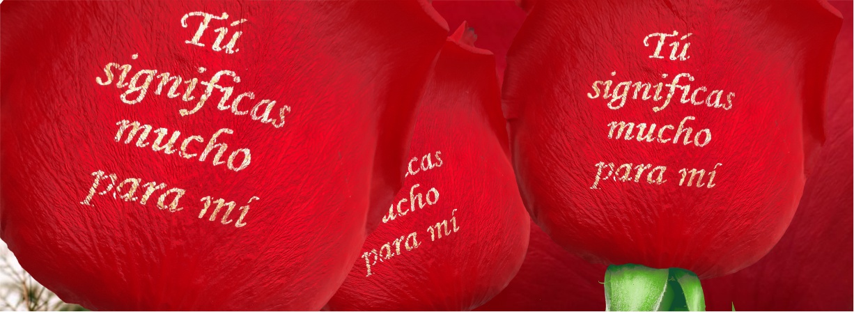 PeruvianRoses.com - Rosas Grabadas - Trujillo - Perú