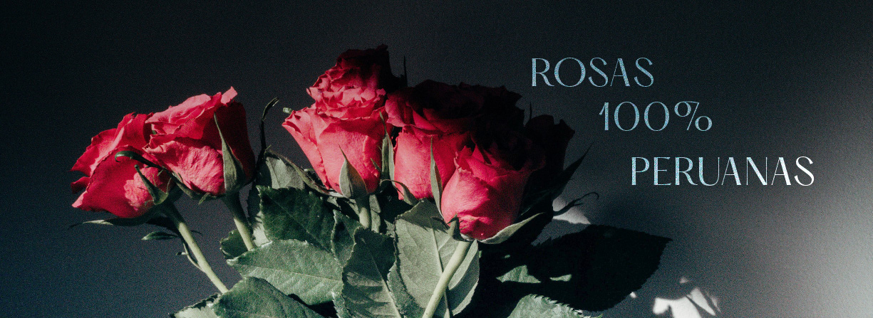 PeruvianRoses.com - Rosas naturales con un mensaje - Trujillo - Perú
